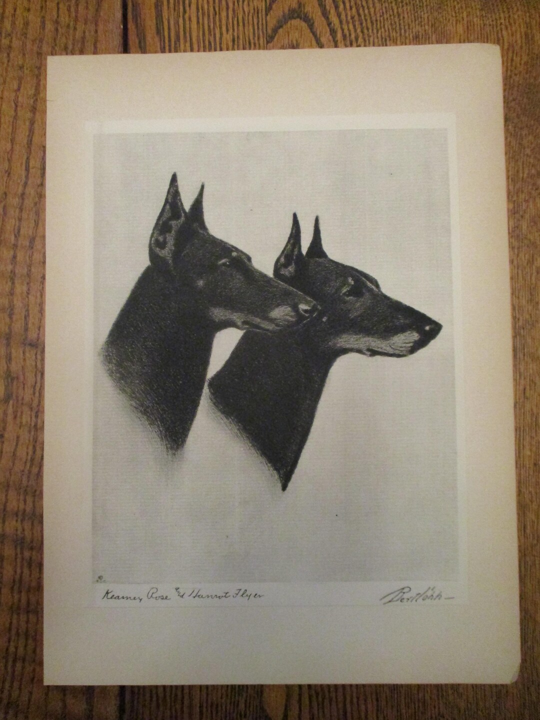 BEAUTIFUL 1931 Bert Cobb Dry Point Etching Print-manchester TERRIER ...