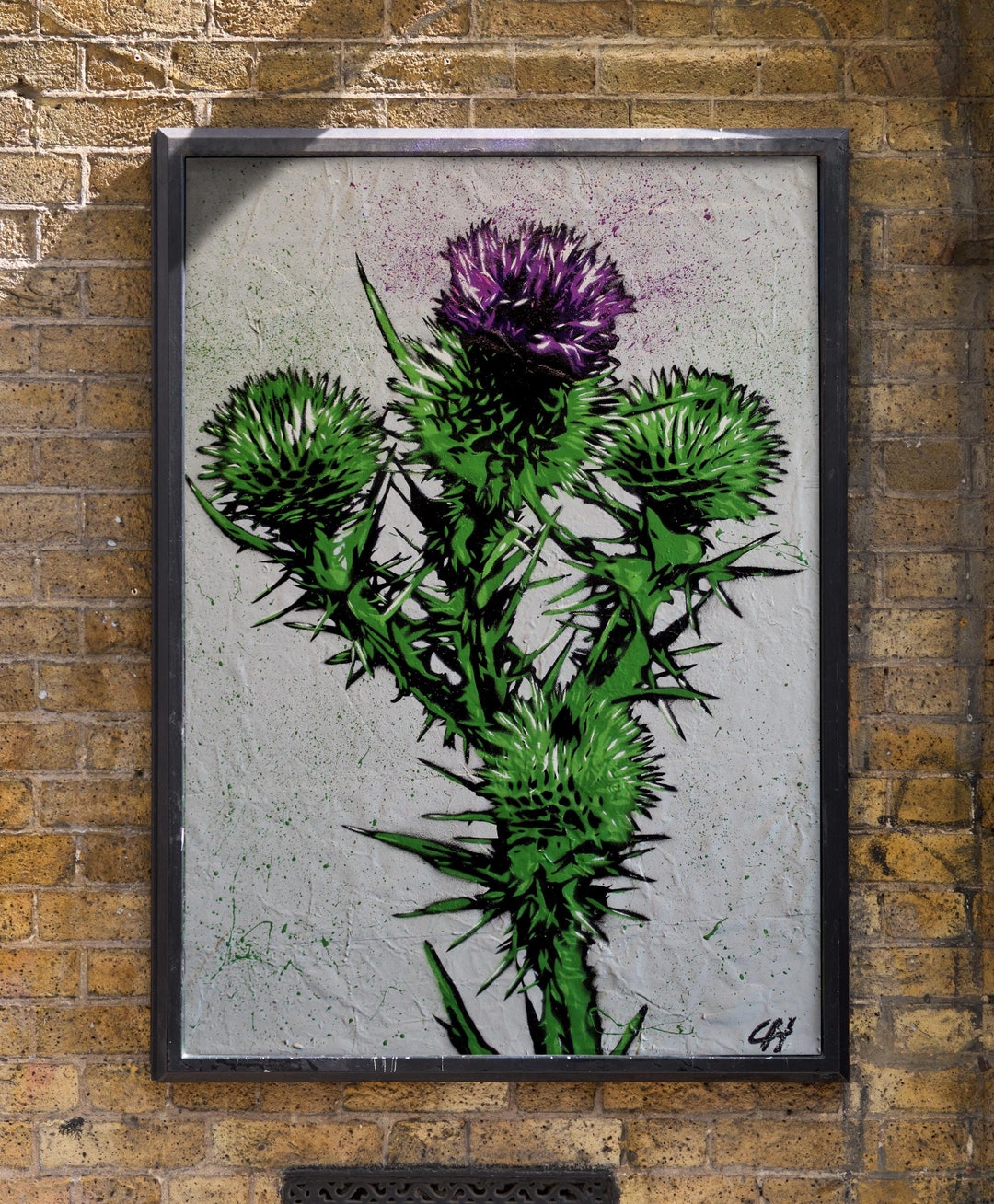 Scottish Thistle Art Print – Bold Botanical Wall Decor, Flower Artwork - Etsy