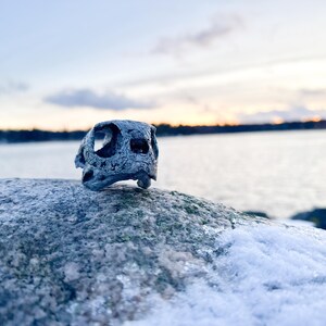 Metal Sea Turtle Skull S - Etsy