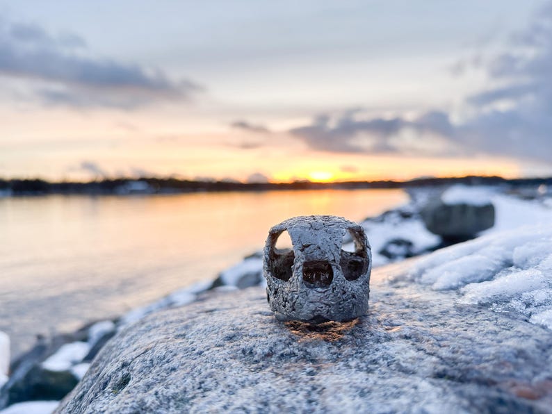 Metal Sea Turtle Skull S - Etsy