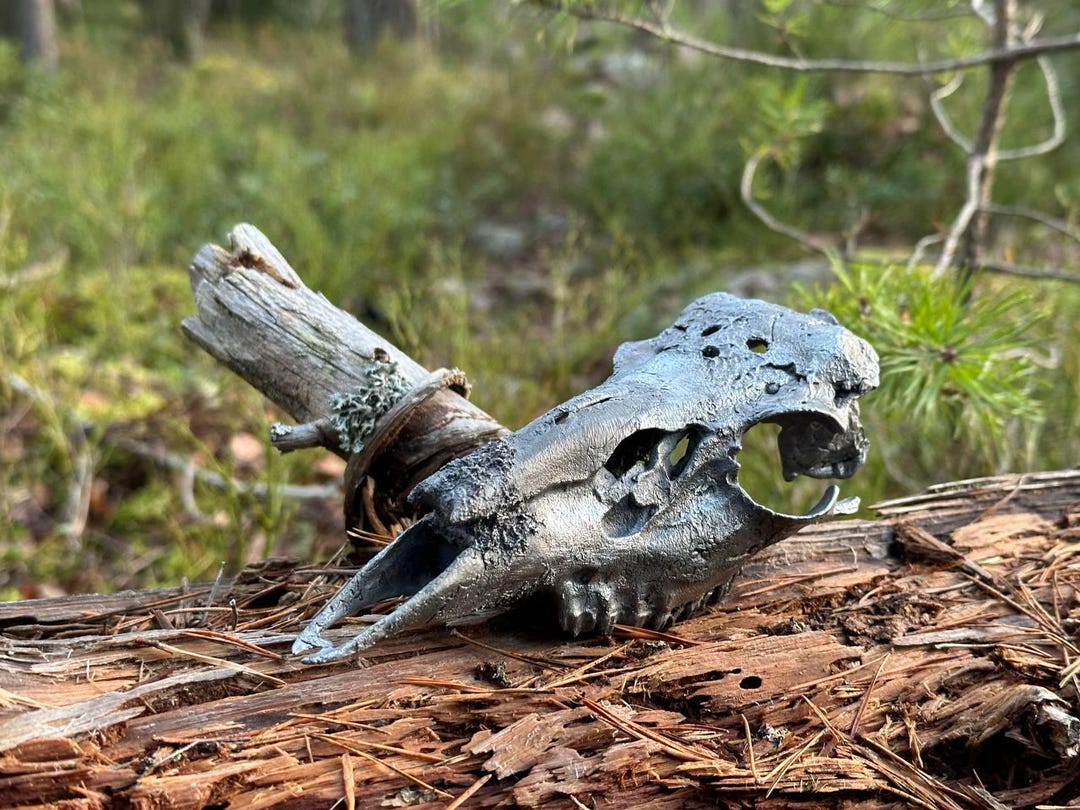 Metal Deer Skull M - Etsy