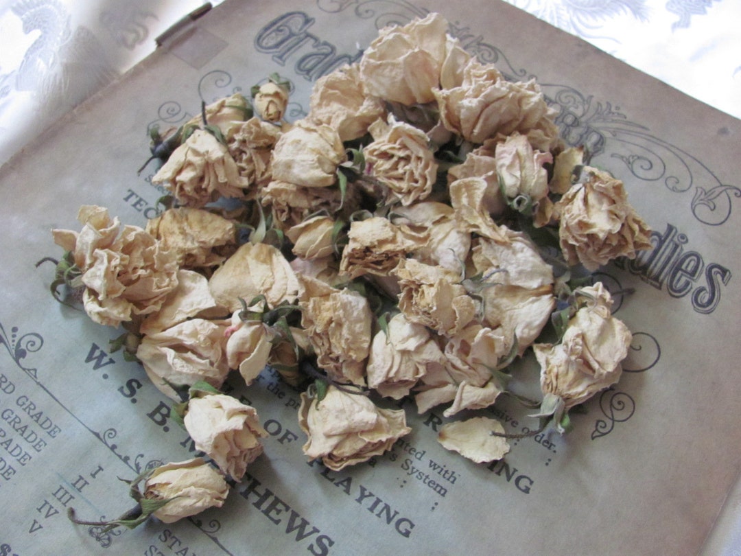 Beautiful White Mini Red Roses Dried for Crafts Candles Potpourri ...