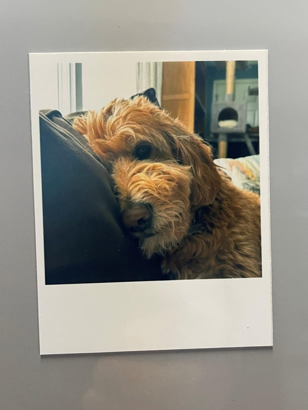 Photo Magnets Retro Polaroid Style (2.75x3.5 In) Turn Your Memories ...
