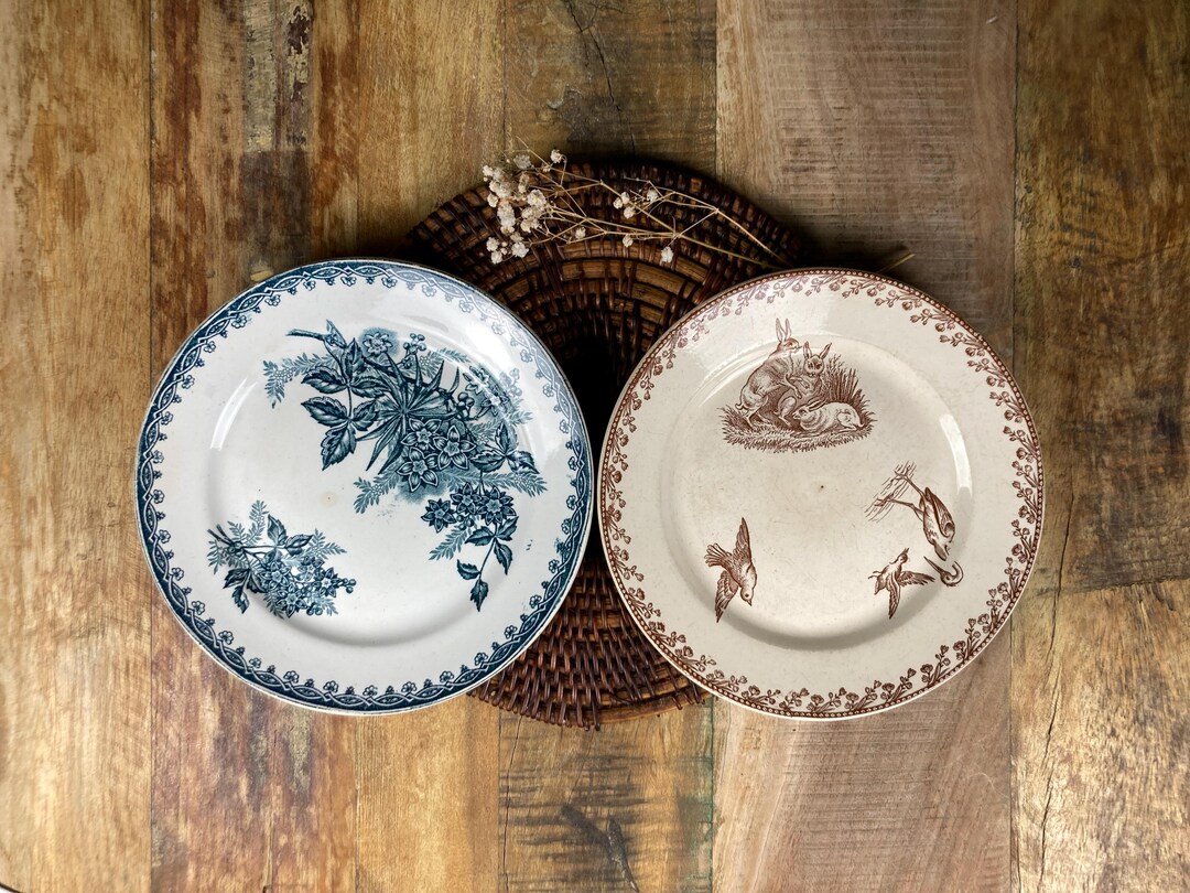 Antique French Ironstone Plate | “chasse” by Fenal Frères or “margot ...