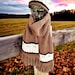 Knitting Pattern - Owl Scarf, Owl Motif, Knit Flat on Straight Needles ...