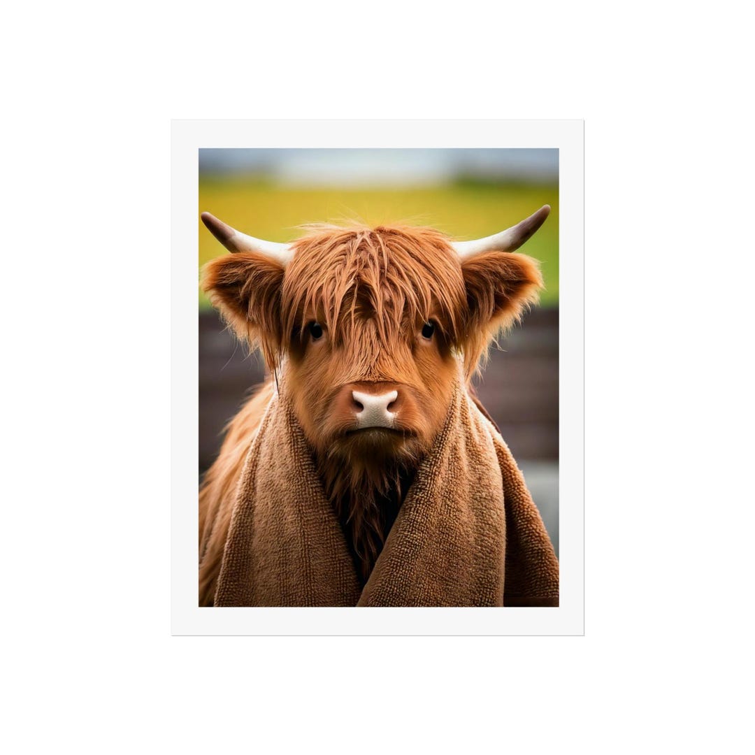 Highland Cow Poster, Cute Baby Cow Bathroom Art, Shower Scene Picture ...