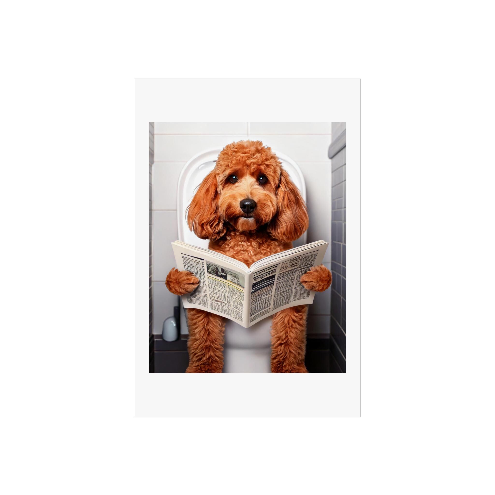 Funny Dog Cockapoo Sitting on Toilet Reading Magazine Poster, Wall Art ...