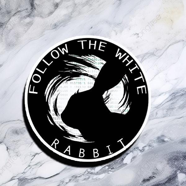 Follow the White Rabbit - Etsy