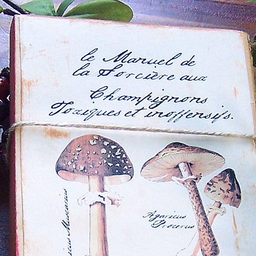 Halloween Clip Art Magic Mushroom Vintage Digital Book Cover - Etsy