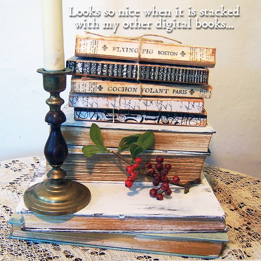 Flying Pig Book Cover Art Rustic Books Pig Gift Junk | Etsy