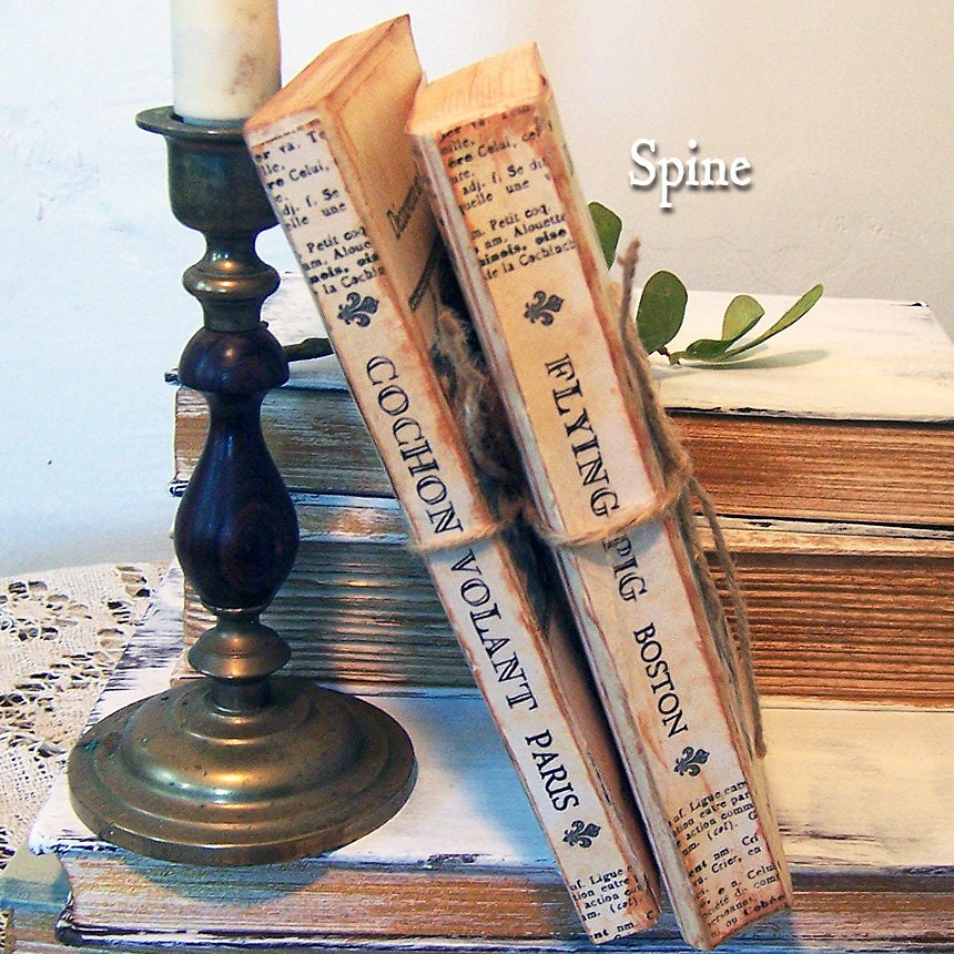 Flying Pig Book Cover Art Rustic Books Pig Gift Junk | Etsy