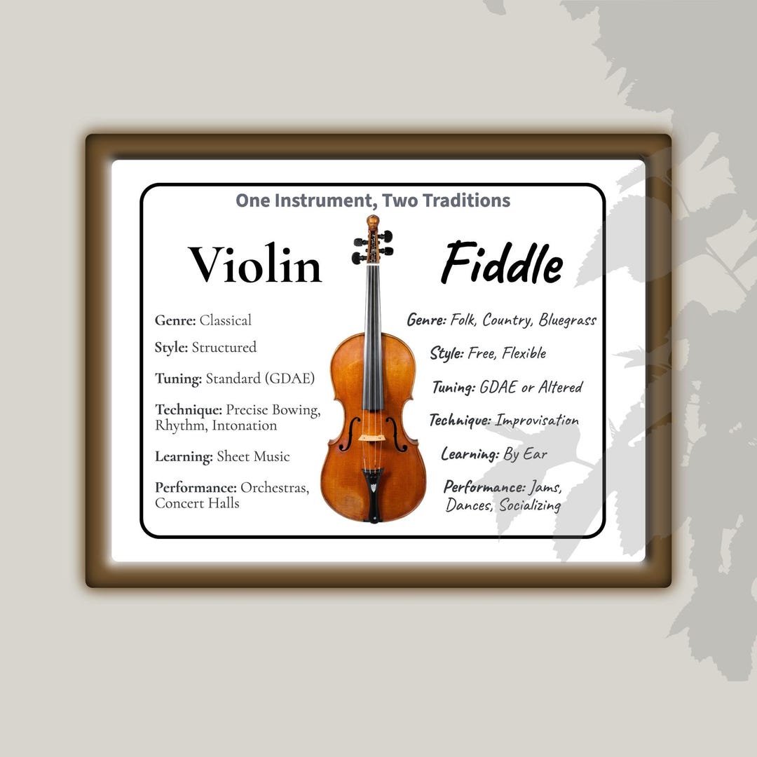Violin Vs Fiddle Poster, Wall Art Music Room Decor, Learning Resources ...