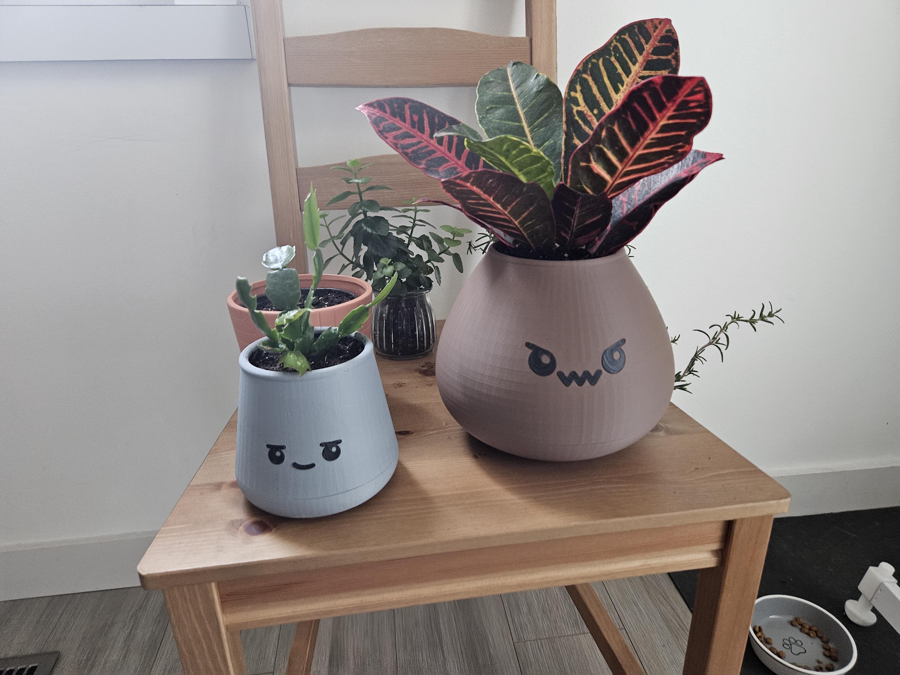 Adorable Character Plant Pots / Planters - Etsy