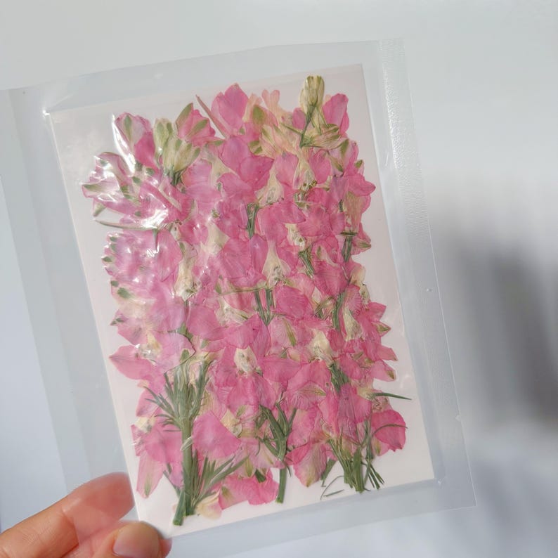 Pressed Flowers With Stems: Resin Filler, Scrapbooking、framed Art ...