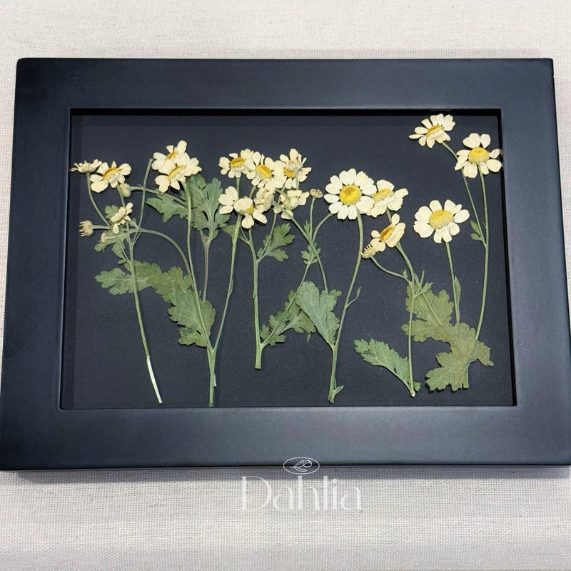 Poppy Jewelry Case - Etsy