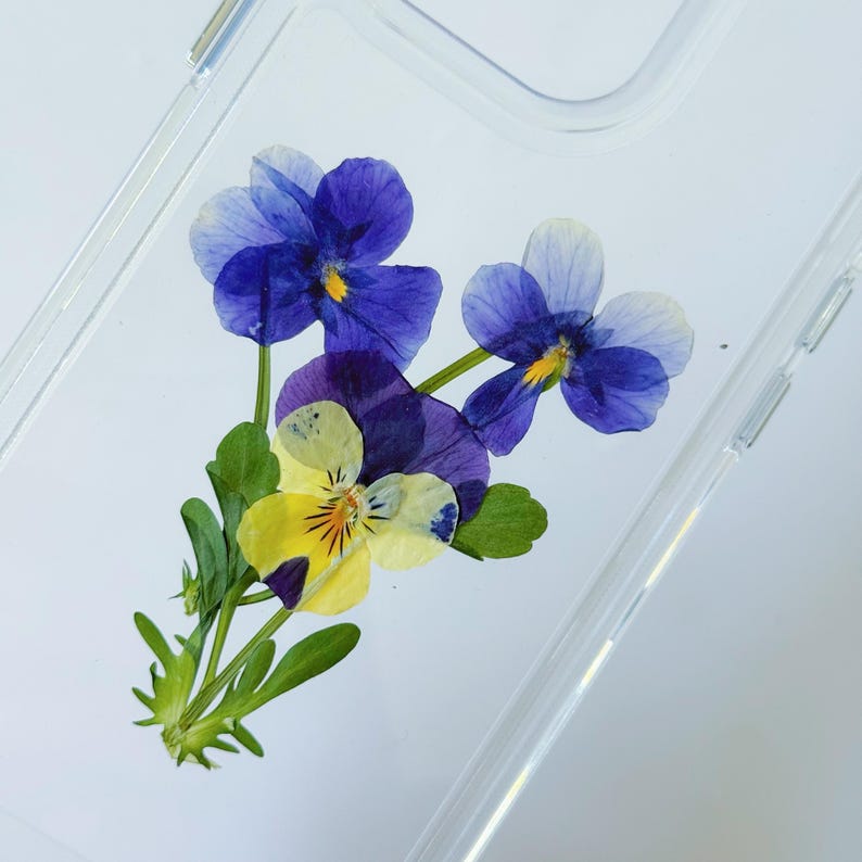 Pressed Pansy Viola Flowers With Stem for Crafts, Resin Art, Cake Deco ...