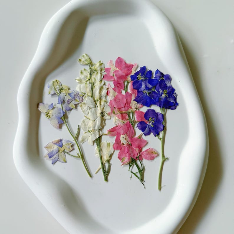Pressed Flowers With Stems: Resin Filler, Scrapbooking、framed Art ...