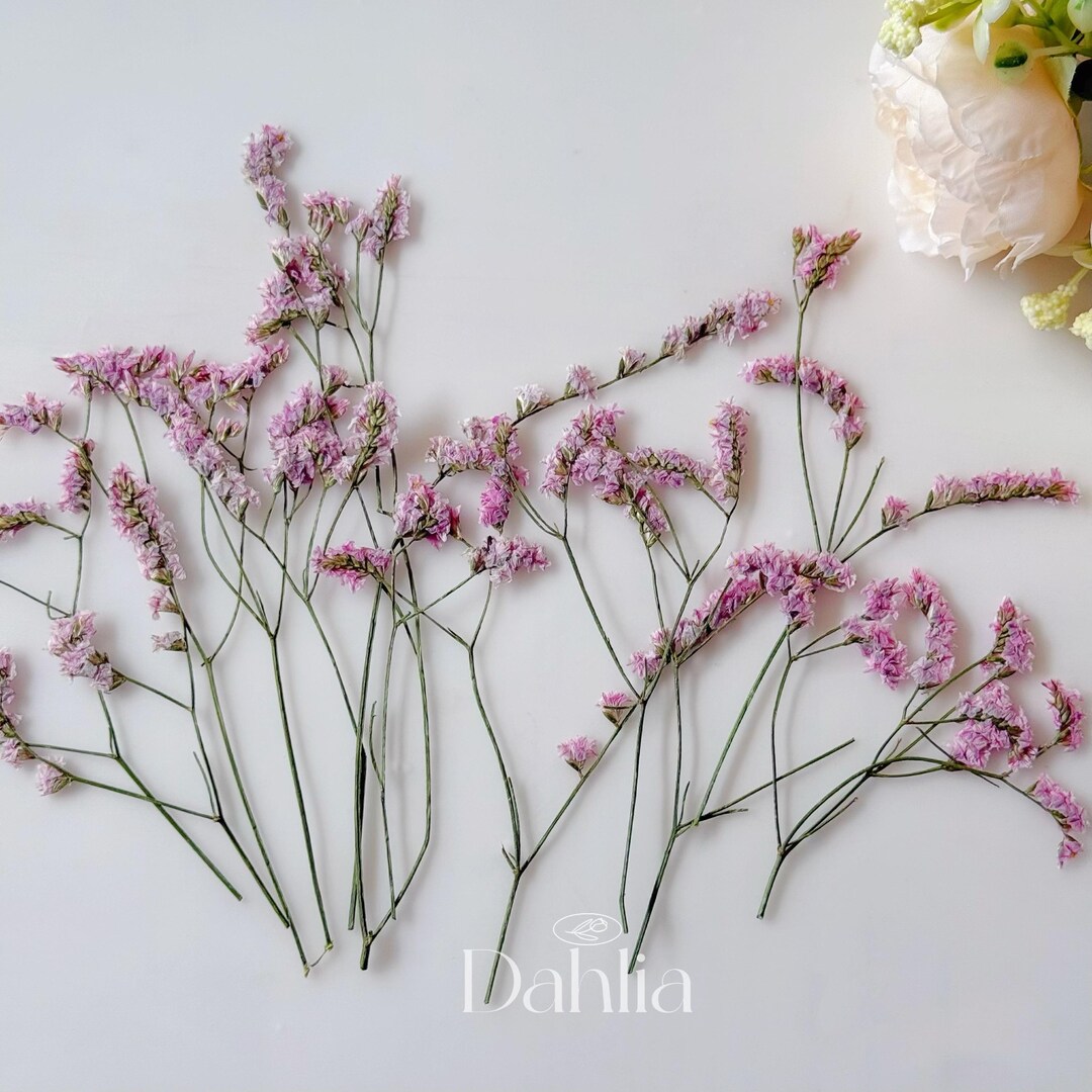 Light Pink Pressed Flowers With Stems: Resin Art, Scrapbooking (12 Pcs ...