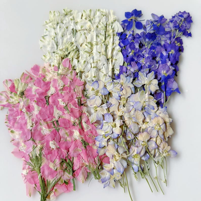 Pressed Flowers With Stems: Resin Filler, Scrapbooking、framed Art ...