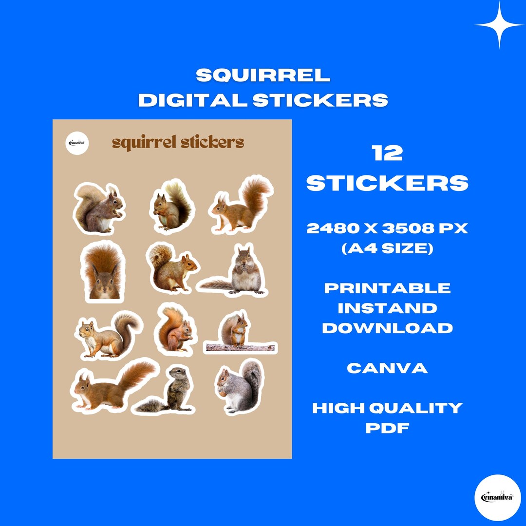 Digital Squirrel Stickers, Digital Stickers, Animal Stickers, Instand ...