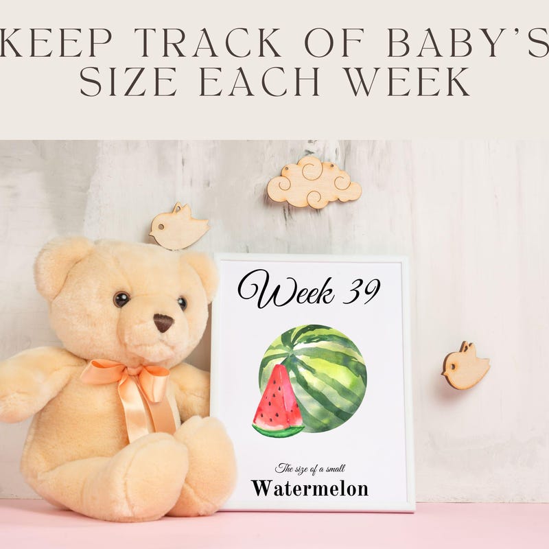 Pregnancy Weekly Signs - Etsy