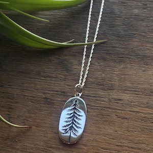 Pine Tree Necklace. Sterling Silver Mirror Finish Tree Necklace ...