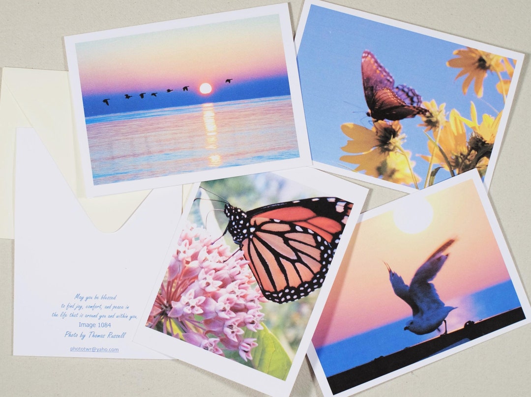 Critters in Nature Photo Art - Set of 8 Folded, Blank Inside, A6 Cards ...