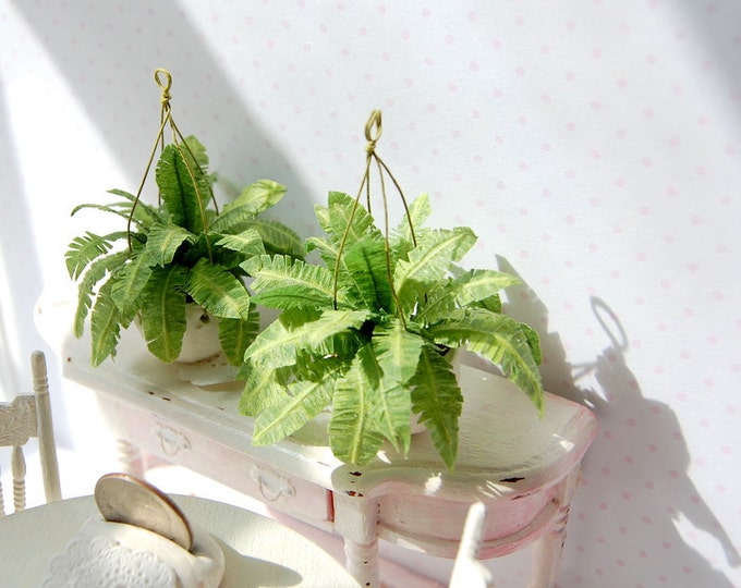 Dollhouse Miniature Realistic Boston Fern Hanging Plants Set of 2 - Etsy