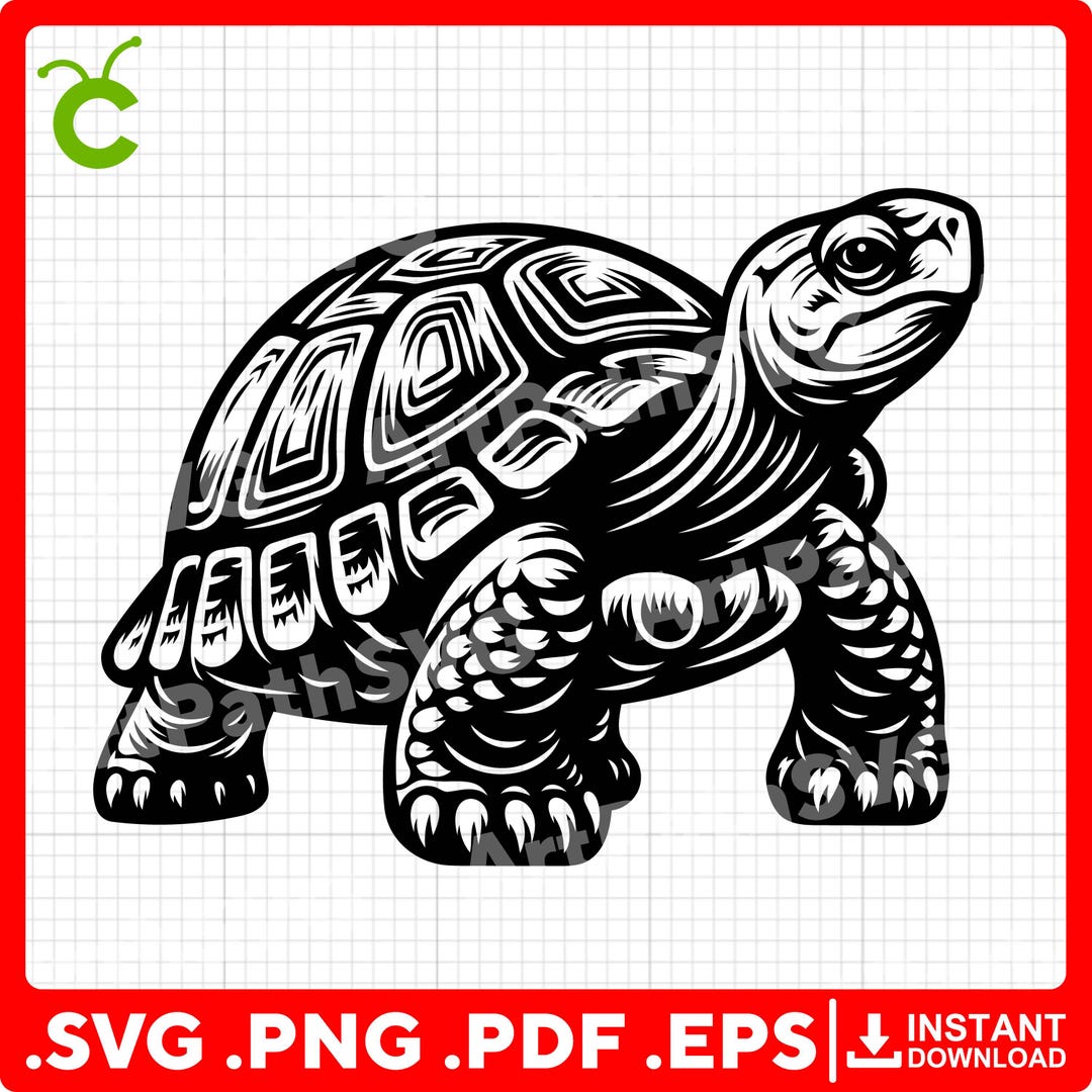 Tortoise SVG, Tortoise Art, Tortoise Design – Svg, Pdf, Png, Eps Files – Perfect for Vinyl ...