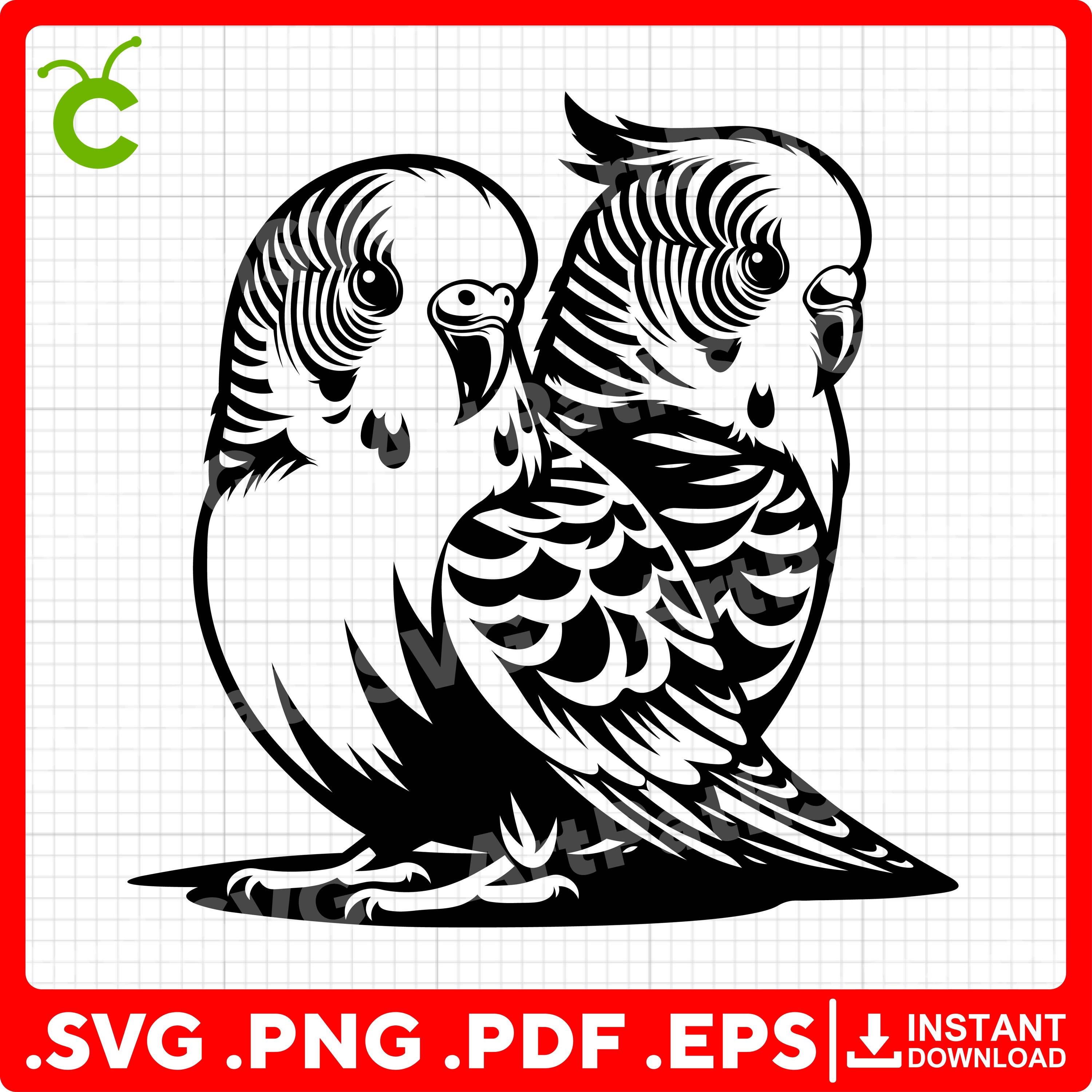 Parrots SVG, Budgerigar SVG, Budgie SVG for Cricut – Svg, Pdf, Png, Eps ...