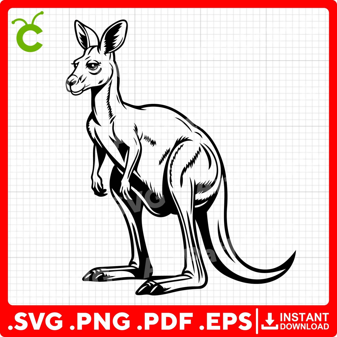 Kangaroo SVG | Cute Kangaroo SVG | Australian Animal SVG | Kangaroo ...