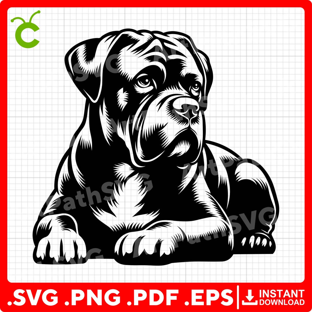 Cane Corso Lying SVG, Cane Corso SVG – Svg, Pdf, Png, Eps Files ...