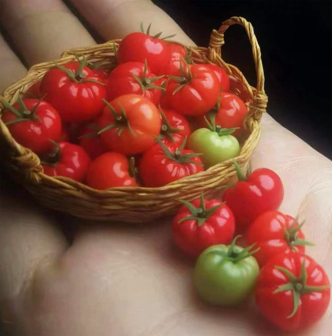 Miniature Tomato: 1/6 Scale Dollhouse Food, Polymer Clay Vegetable - Etsy