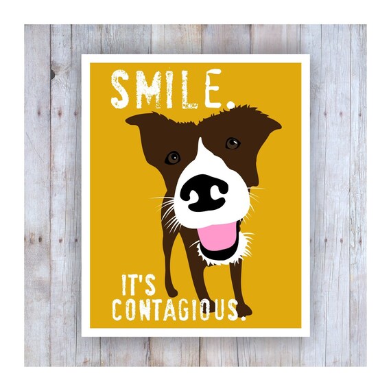 Funny Animal Smile Pictures
