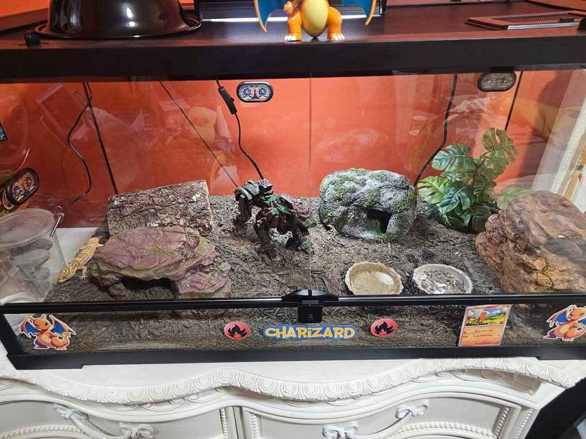 Zoids Relic Zaber Fang Aquarium Decor - Etsy