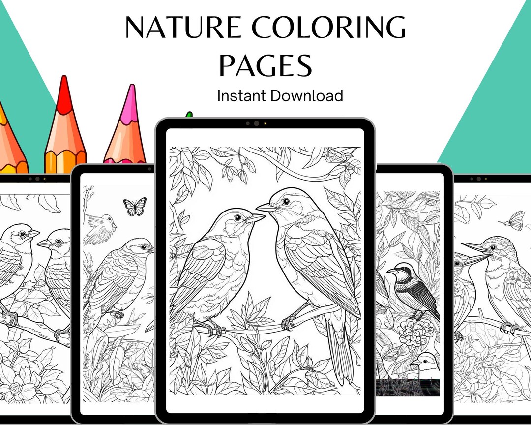 Bird in Nature Coloring Pages, Printable Bird Coloring Book, Relaxing ...