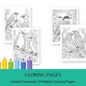 Bird in Nature Coloring Pages, Printable Bird Coloring Book, Relaxing ...
