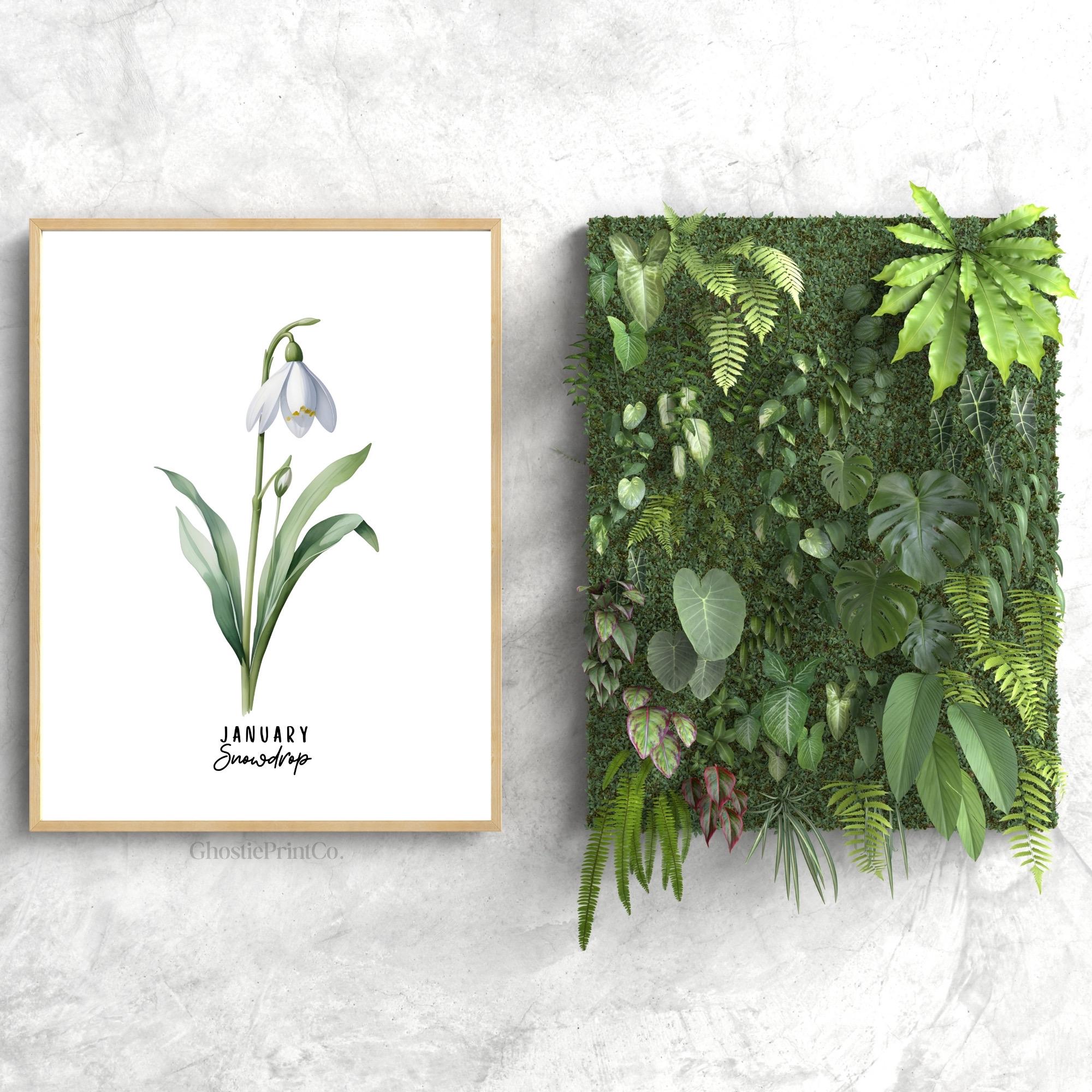 January Snowdrop Birth Flower Printable, Botanical Wall Art, Watercolor ...