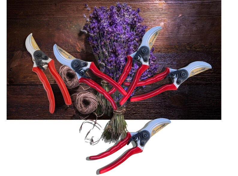 Custom Garden Shears – Heavy Duty Bypass Pruning Shears for Trees and ...
