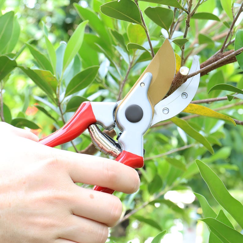Custom Garden Shears – Heavy Duty Bypass Pruning Shears for Trees and ...