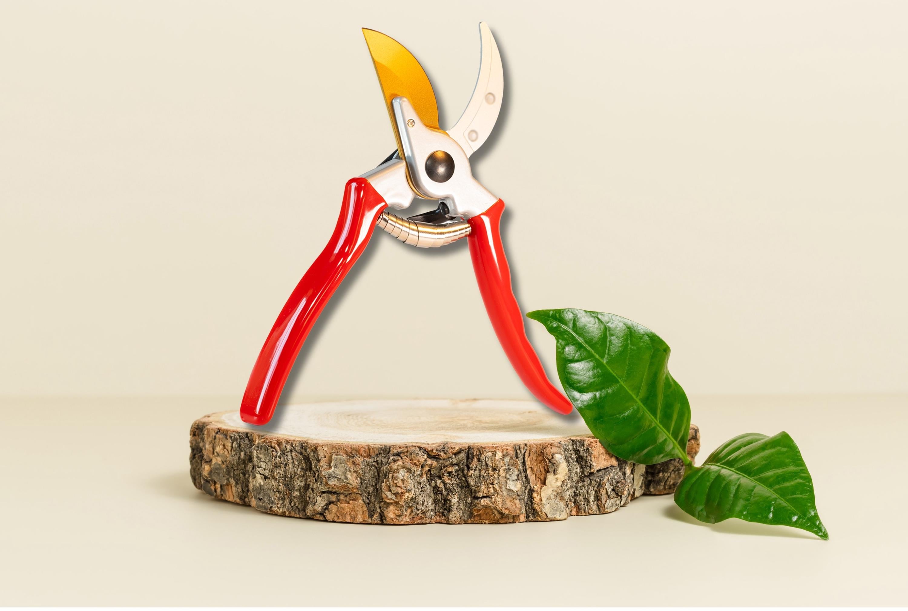 Custom Garden Shears – Heavy Duty Bypass Pruning Shears for Trees and ...