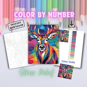 Color-by-number Buck Digital Download | Relaxing DIY Art Activity ...