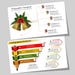 Christmas-themed Animated 3D Infographic Powerpoint Templates - Festive ...