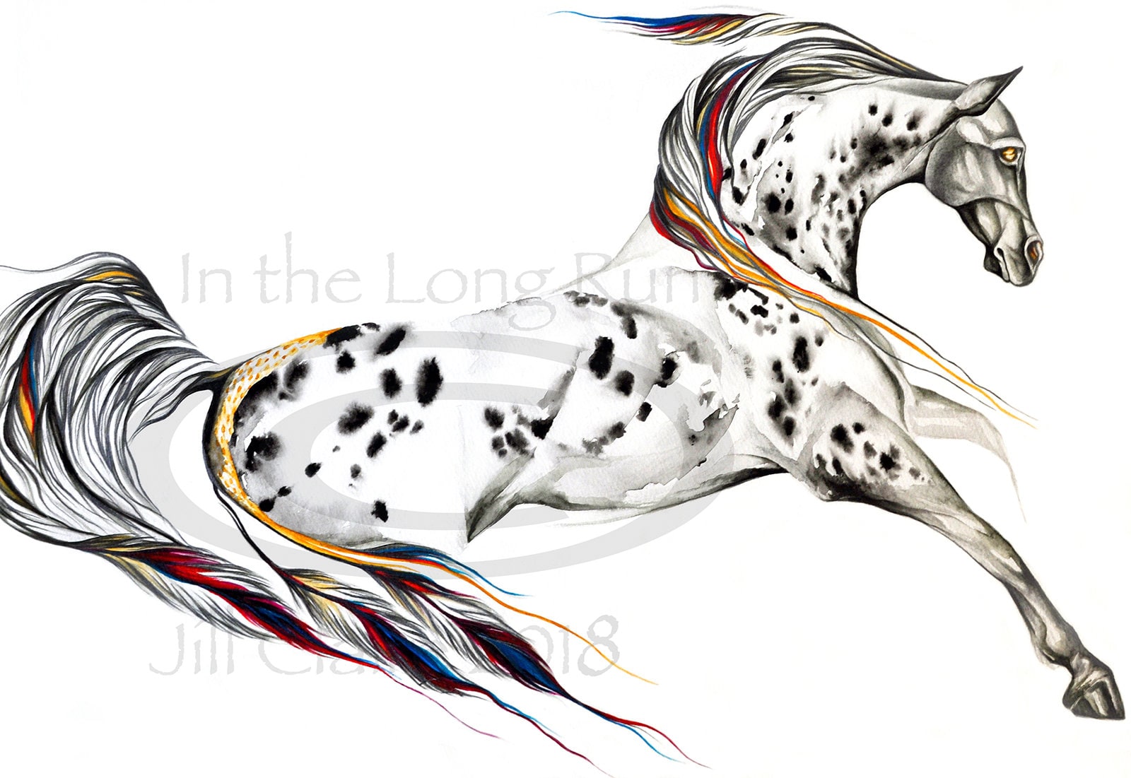 Black Leopard Appaloosa Native War Horse Painting Art Print "black ...
