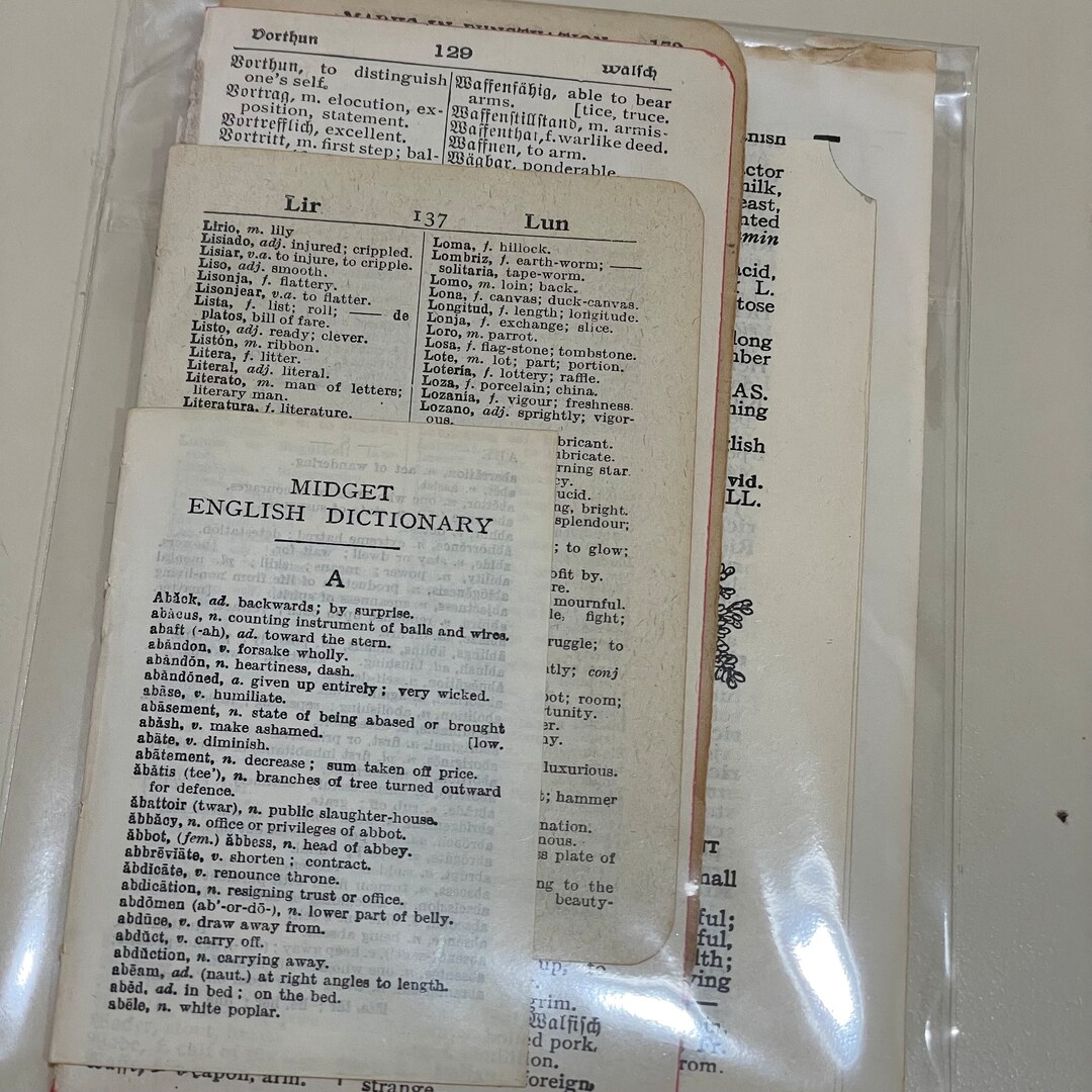Set of Random Dictionary Pages - Etsy