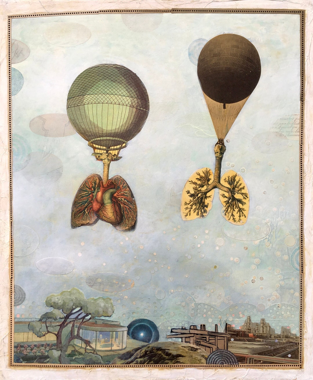 Lung Balloons - Etsy