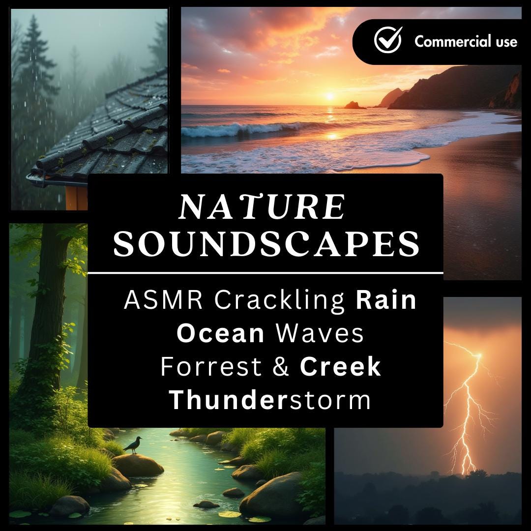 ASMR Nature Soundscapes: Rain, Ocean, Forest, Thunder (digital Download ...