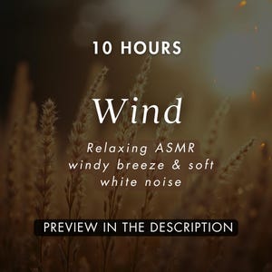 10 Hours ASMR Windy Breeze With Soft White Noise (mp3 Download) - Etsy