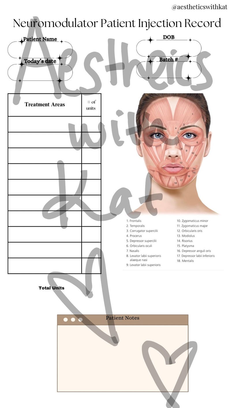 Botox/nueromodulator Facial Anatomy Template - Etsy