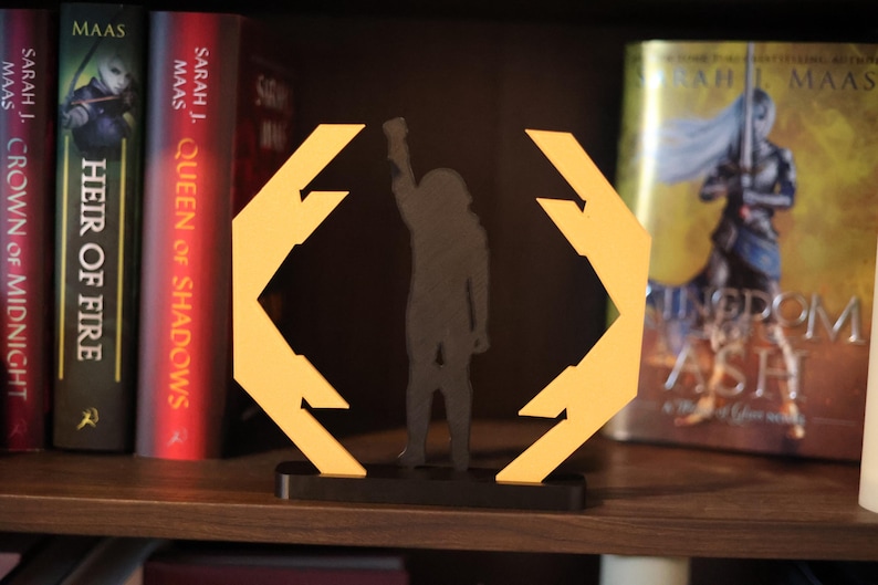 Lando Norris 2025 World Champion Display - Etsy